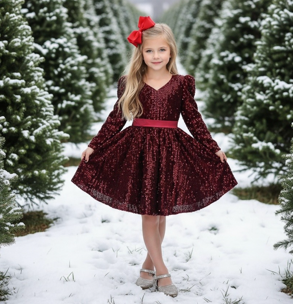 Emma Sequin Dress Wine