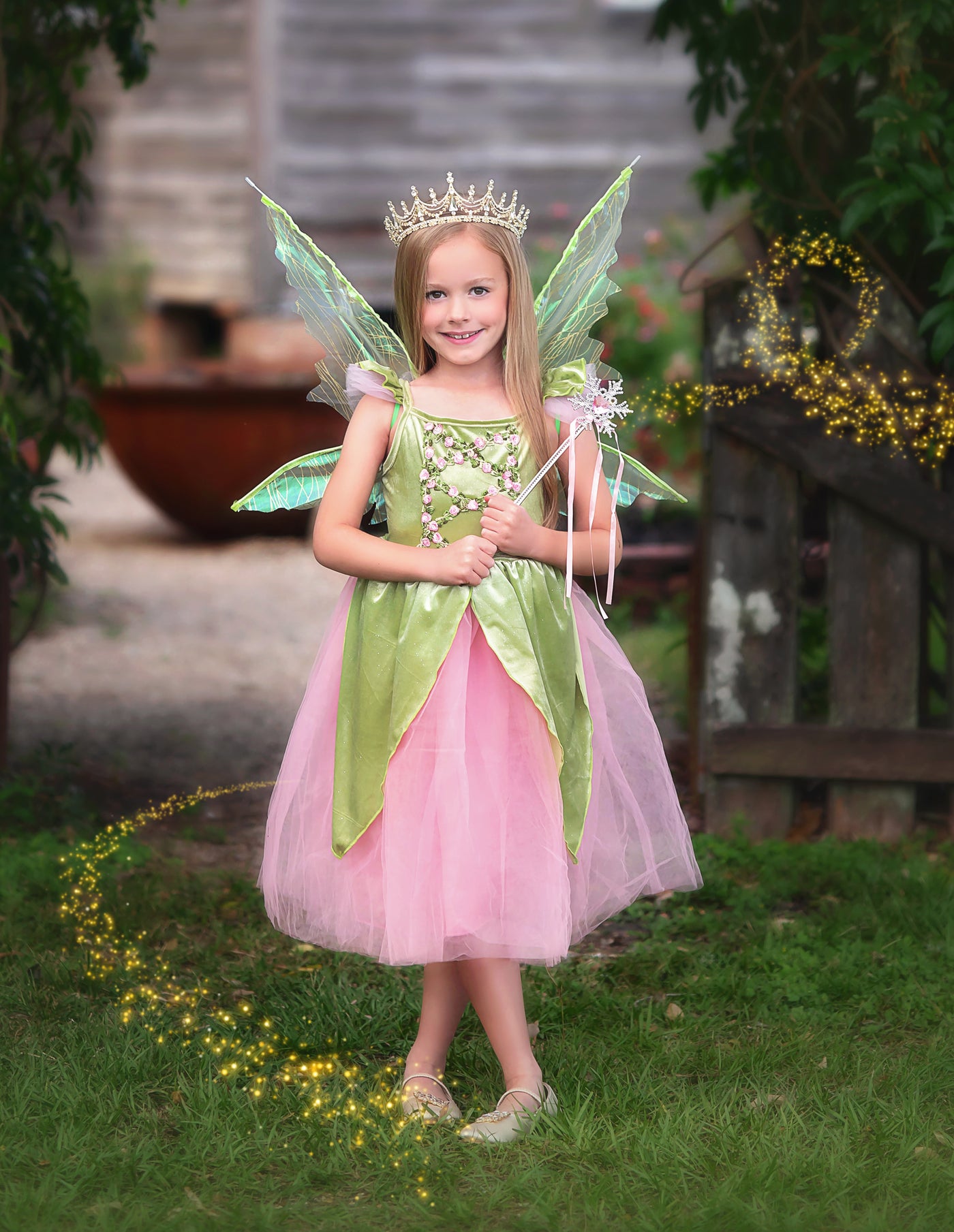 The Fanciful Fairy Dress & Wing Set