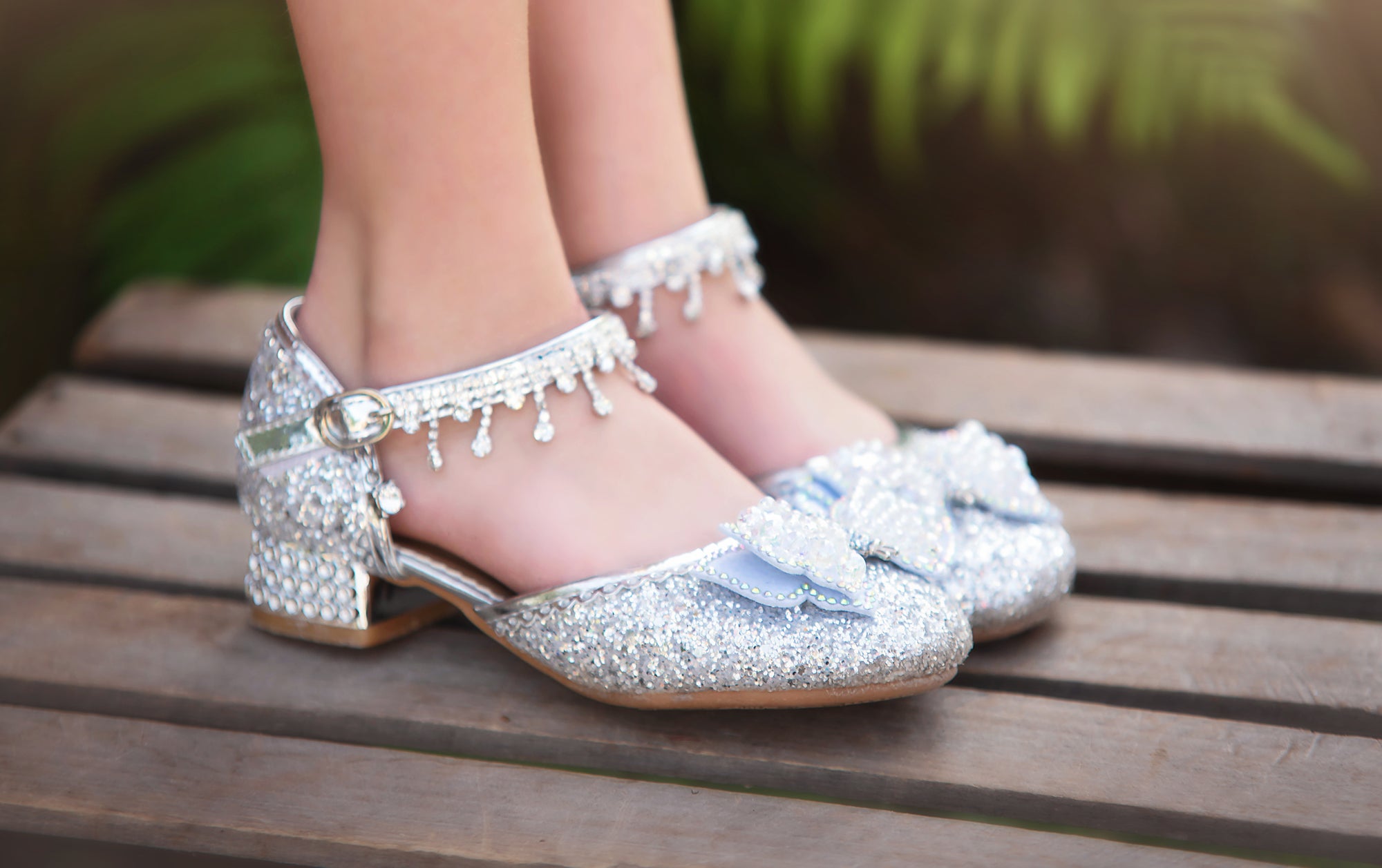 Silver Regal Princess Shoe