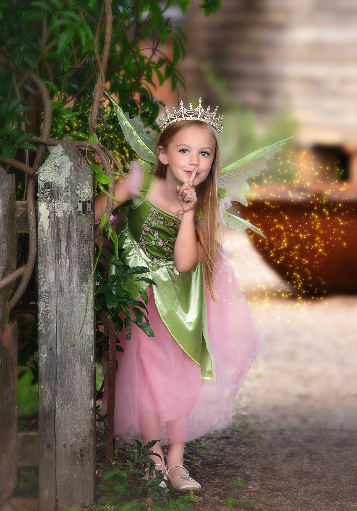 The Fanciful Fairy Dress & Wing Set