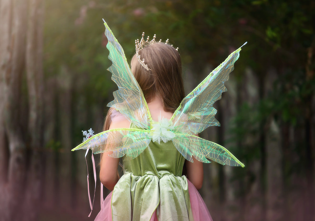 The Fanciful Fairy Dress & Wing Set – TRISH SCULLY