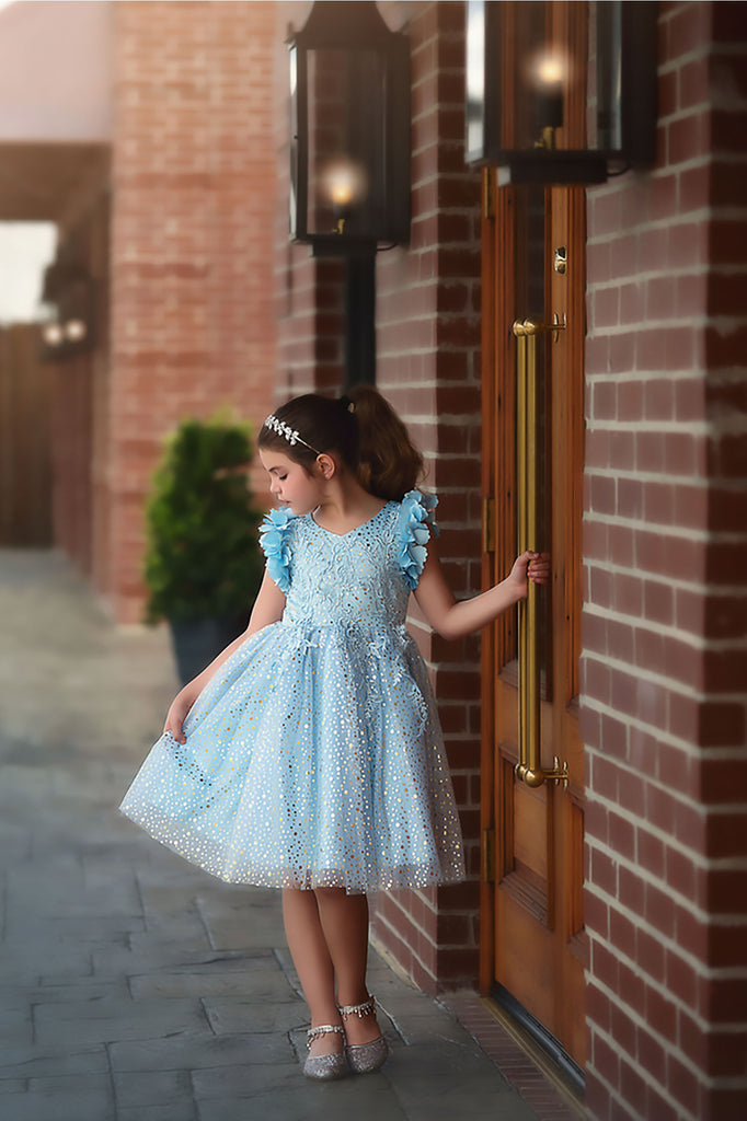 Natalia Dress Sky – TRISH SCULLY